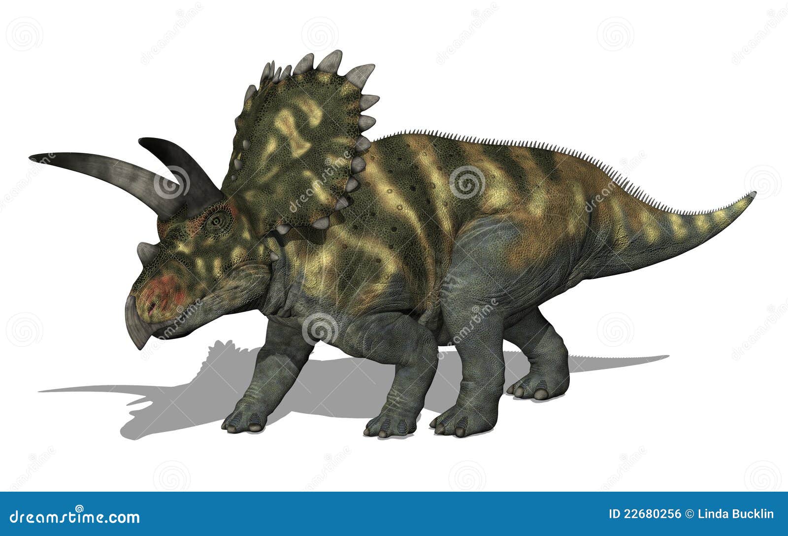 Dinossauro De Coahuilaceratops Ilustração Stock - Ilustração de tarde ...