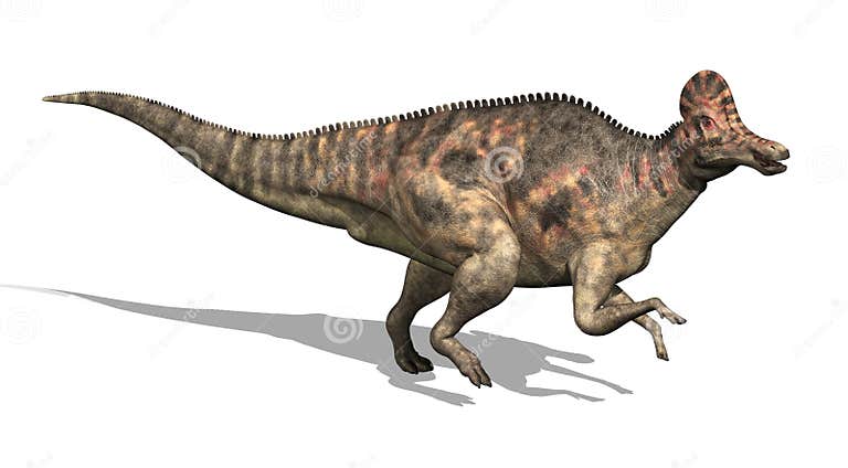Dinossauro De Corythosaurus Ilustração Stock - Ilustração de dinossauro ...