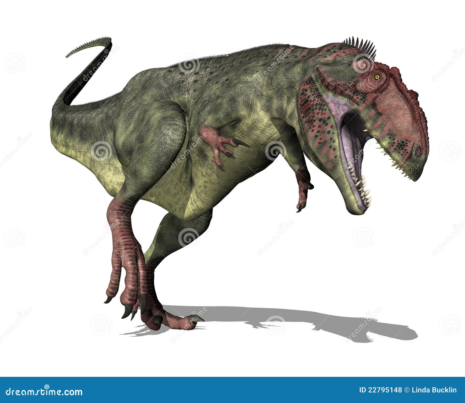 Dinossauro De Giganotosaurus Ilustração Stock - Ilustração de ...