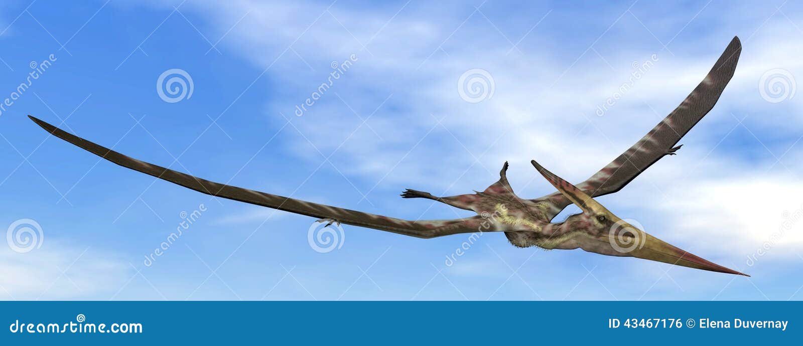 Dinossauro De Pteranodon - 3D Rendem Ilustração Stock - Ilustração de ...