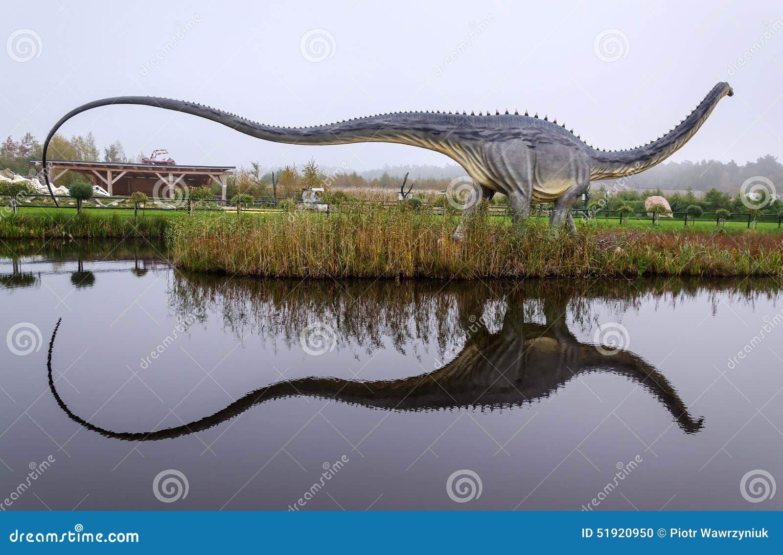 Dinossauro Do Diplodocus Com Reflexão Da água Imagem Editorial - Imagem ...
