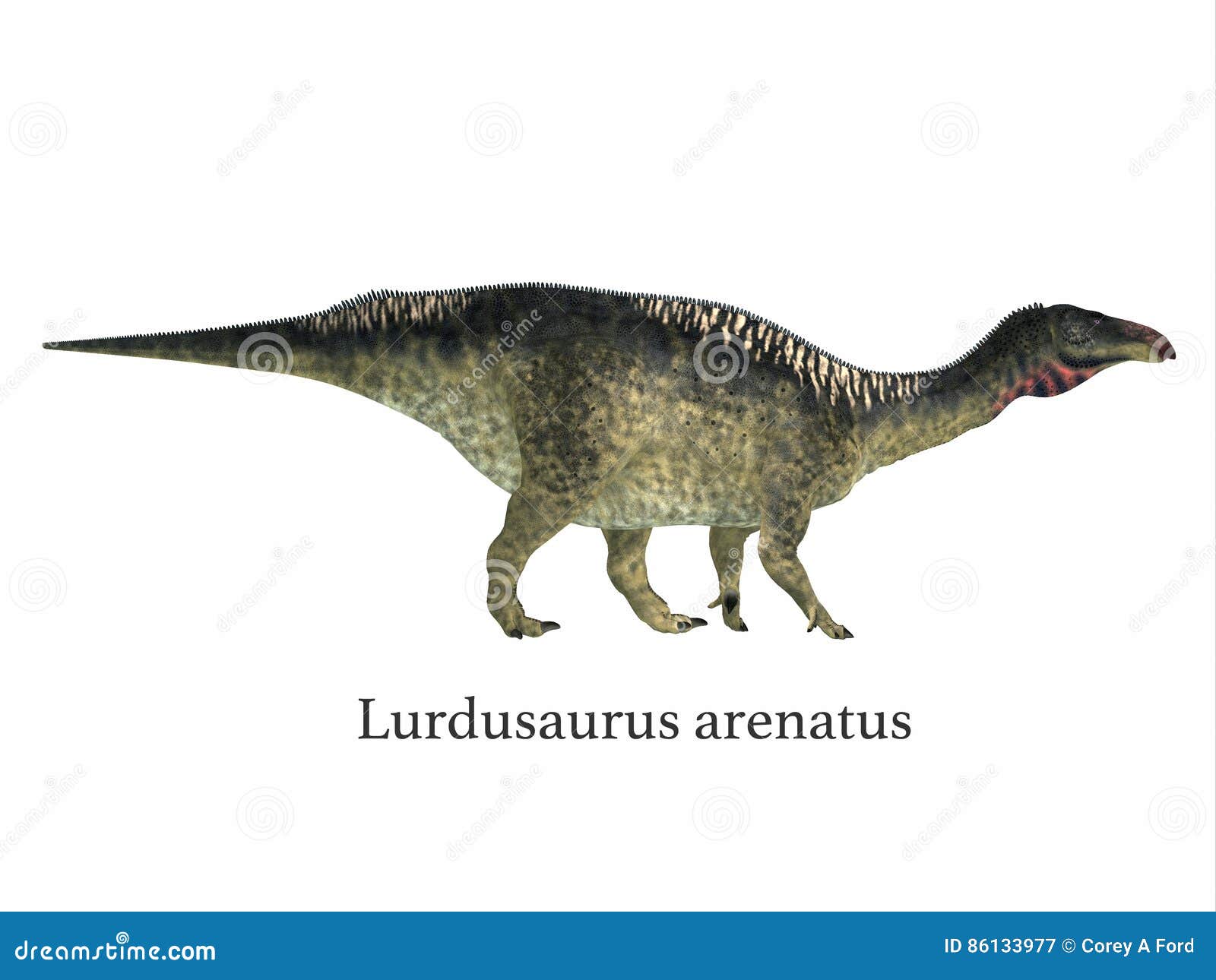 Dinossauro Do Lurdusaurus Com Fonte Ilustração Stock - Ilustração de ...