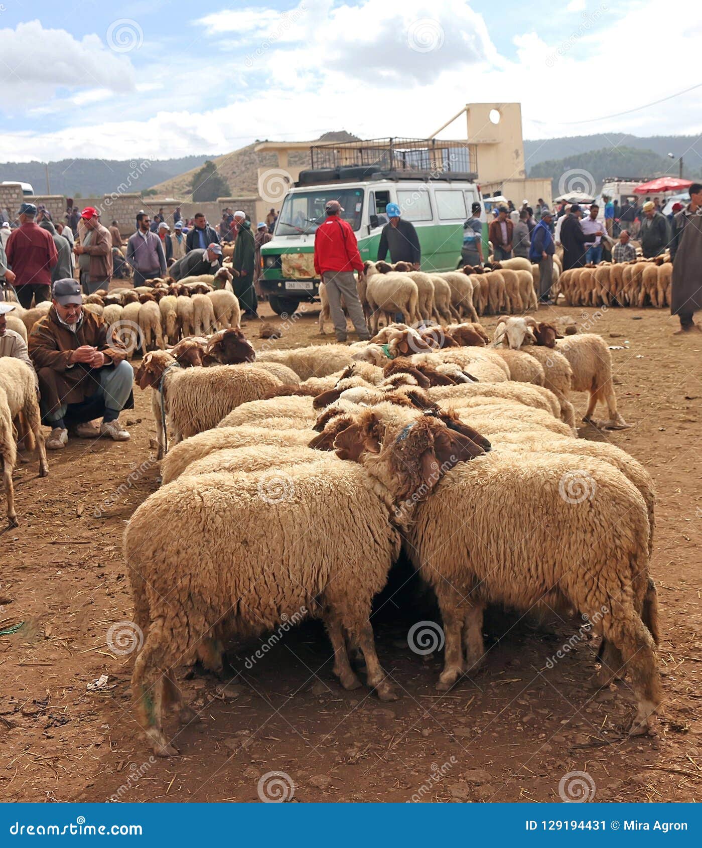 Dinsdag Souk in Azrou, Marokko Redactionele Foto - Image of marokko ...
