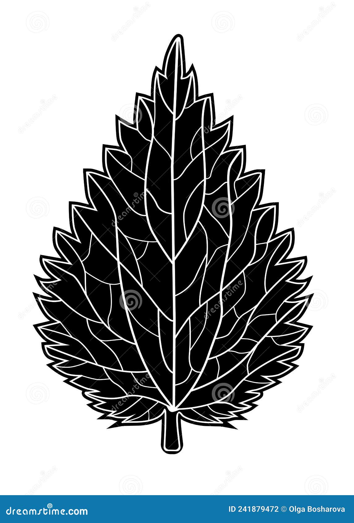 Nettle Dioecious Top View, Useful Medical Herb Vector Illustration ...