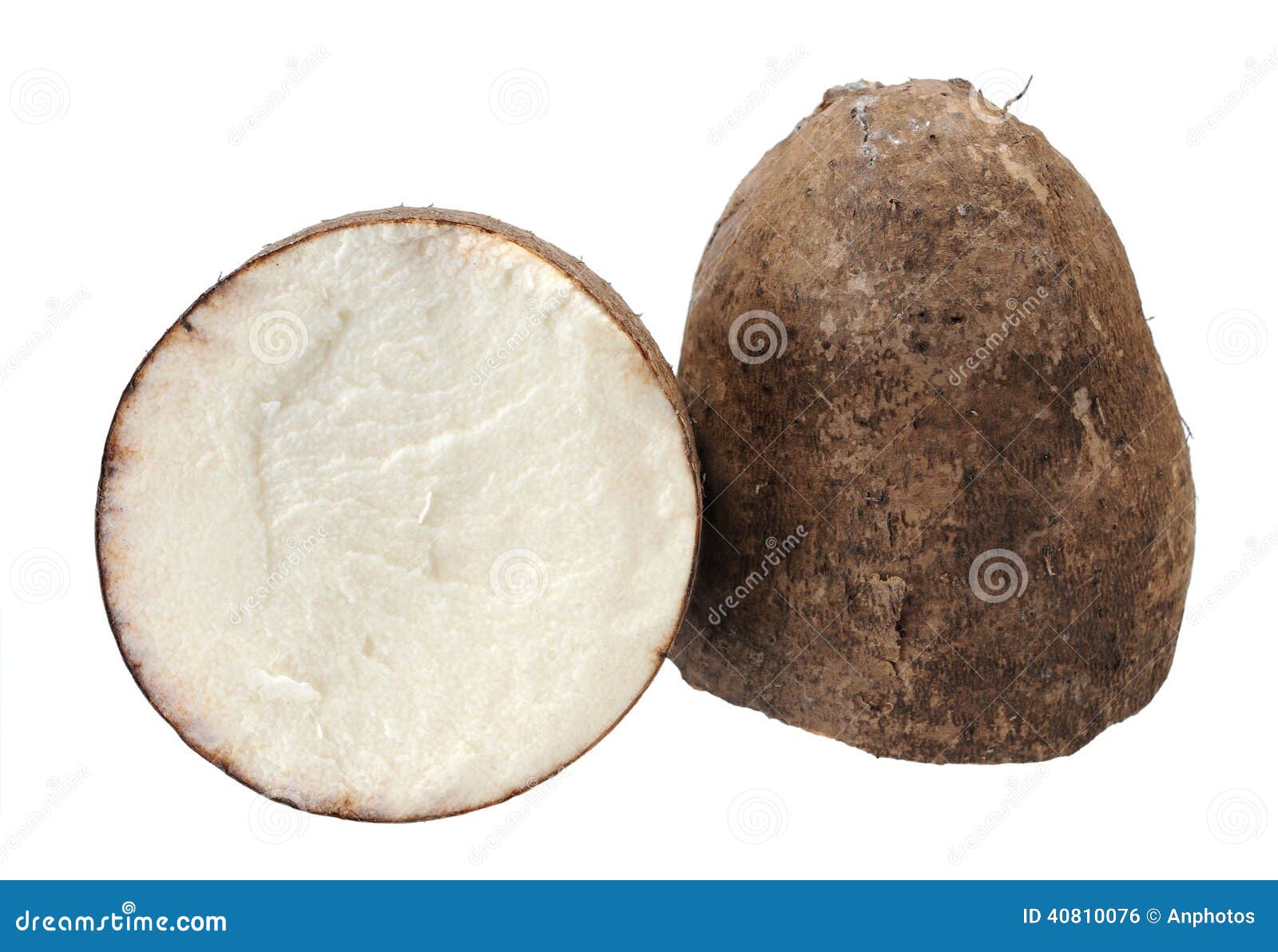 Dioscorea alata Linn stock photo. Image of haft, shot - 40810076