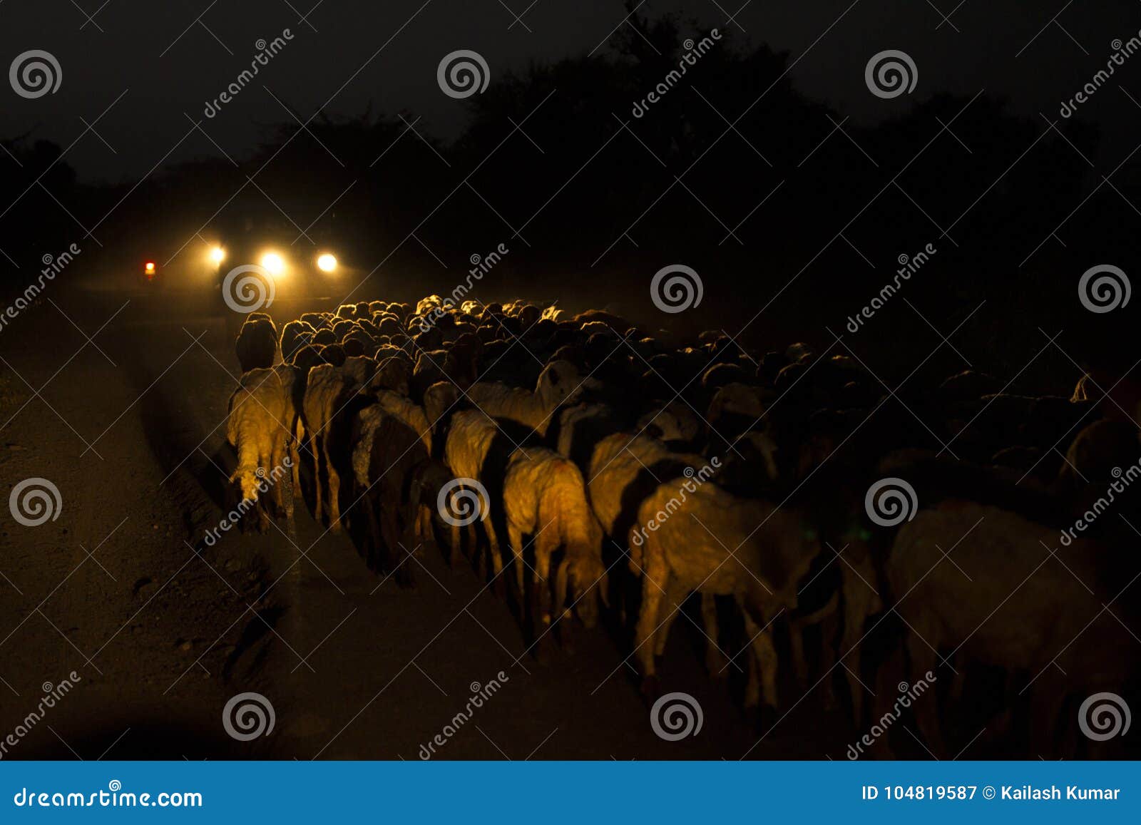 Dipak stock image. Image of holder, decorative, green - 104819587