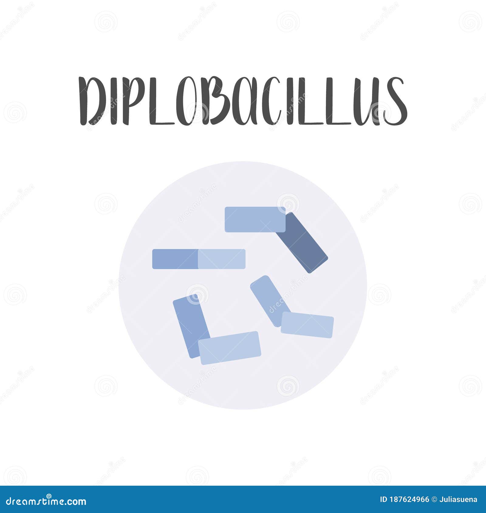 Diplobacillus Bacteria
