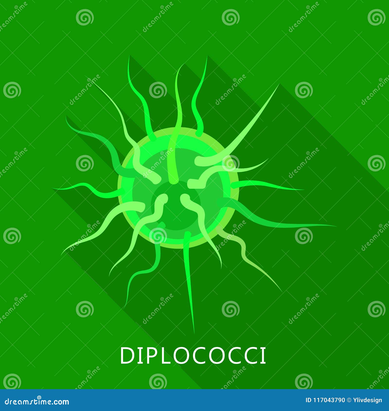 Diplococci Icon, Flat Style Stock Vector - Illustration of flat ...