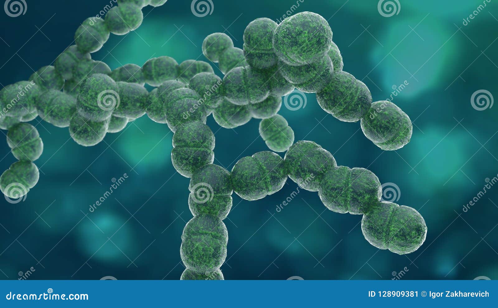 Diplococcus bacteria stock image. Image of aerobic, bacterium - 128909381