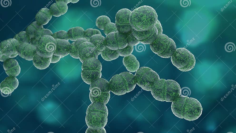 Diplococcus bacteria stock image. Image of aerobic, bacterium - 128909381