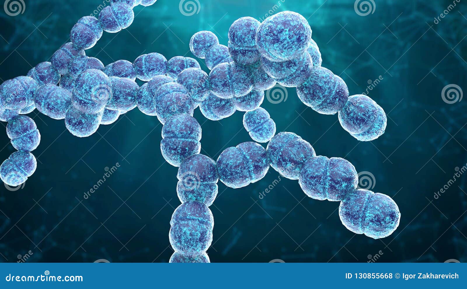 Diplococcus Bacteria