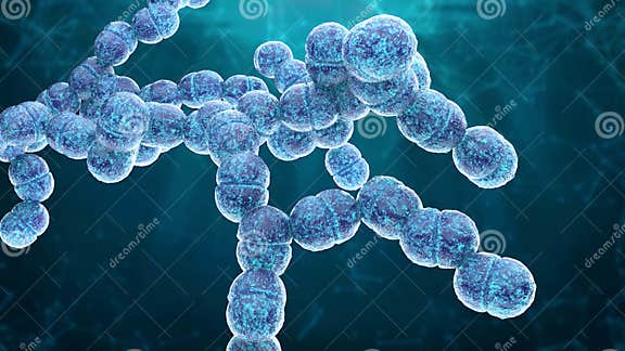 Diplococcus Bacterium 3d Render Stock Illustration - Illustration of ...