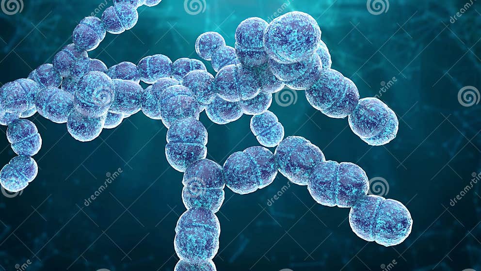 Diplococcus Bacterium 3d Render Stock Illustration - Illustration of ...
