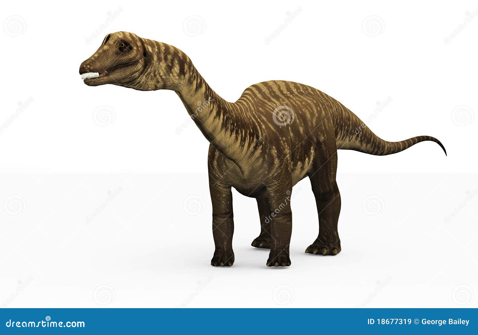 Diplodocus Dinosaur stock illustration. Illustration of extinct - 18677319