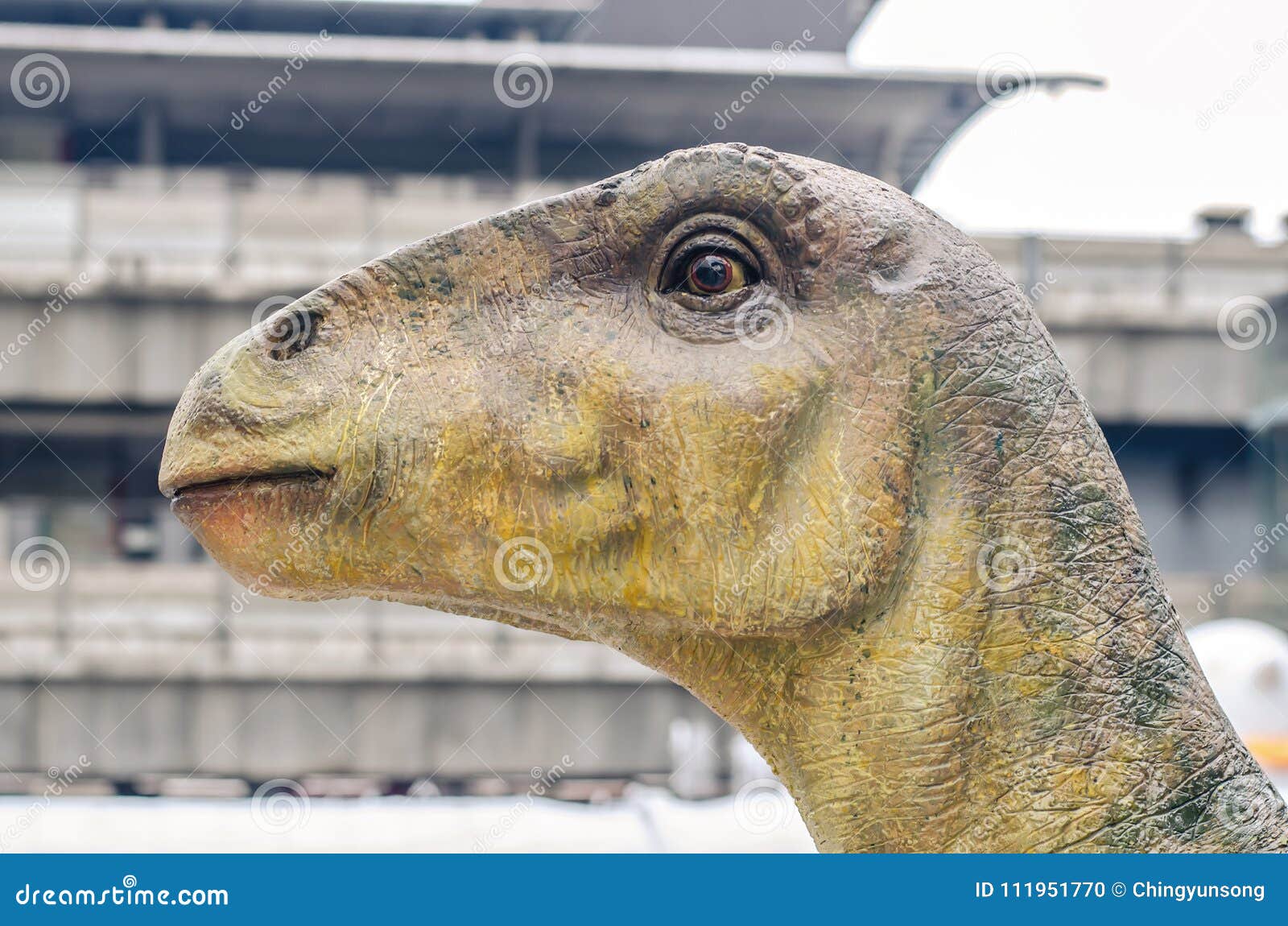 Diplodocus dinosaur head stock photo. Image of model - 111951770