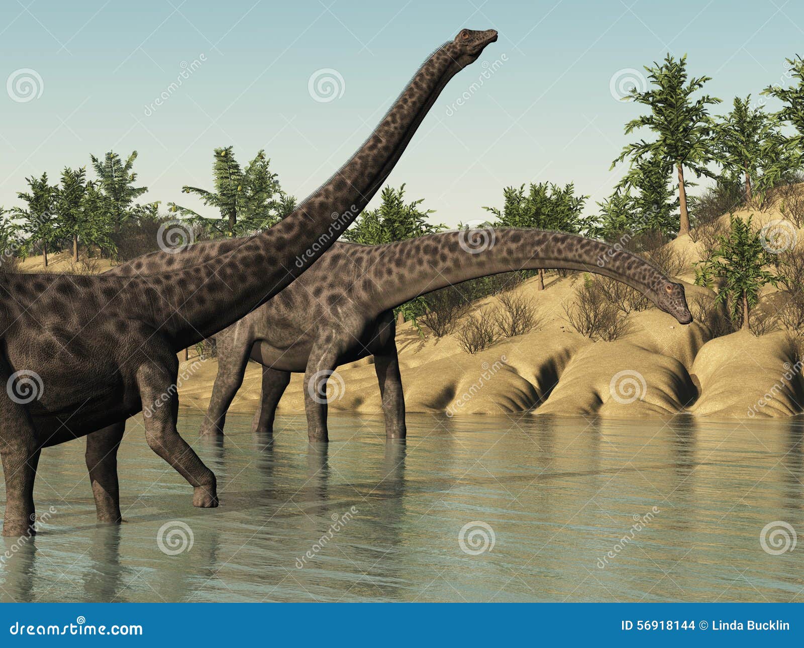 Diplodocus Dinosaurs stock illustration. Illustration of prehistoric ...