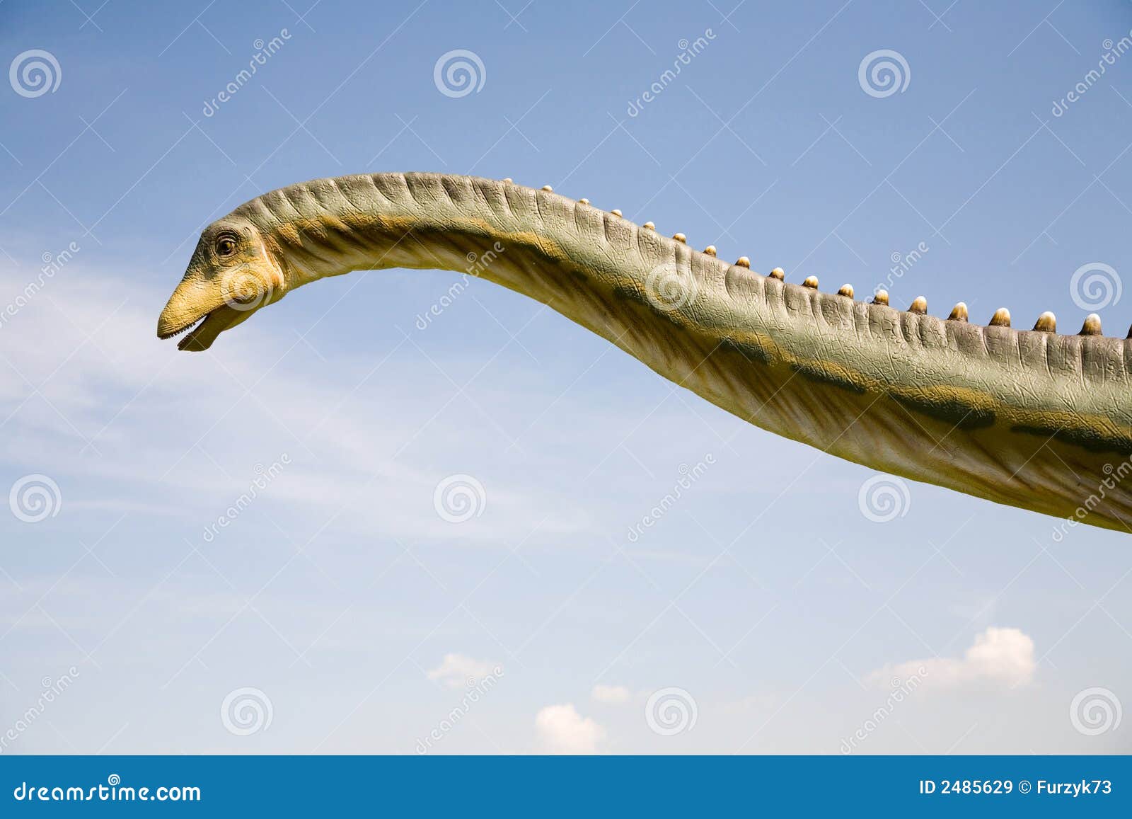 Diplodocus Tail Stock Photos - Free & Royalty-Free Stock Photos from ...