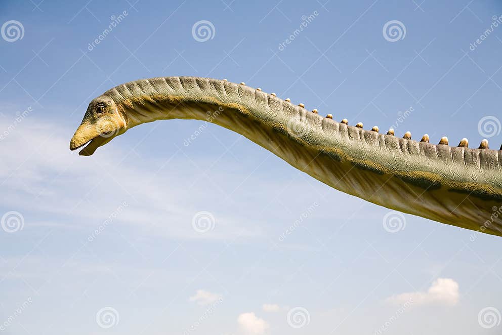 Diplodocus longus neck stock image. Image of long, carboniferous - 2485629