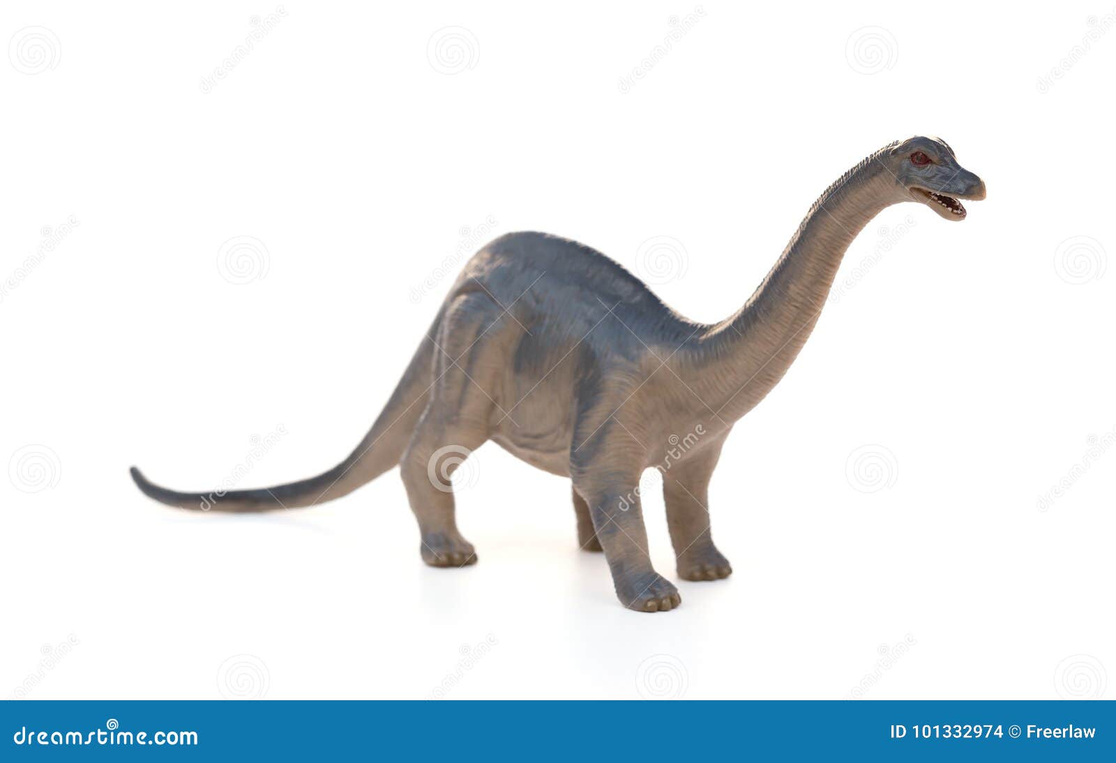 Diplodocus Toy on White Background Stock Photo - Image of jurassic ...