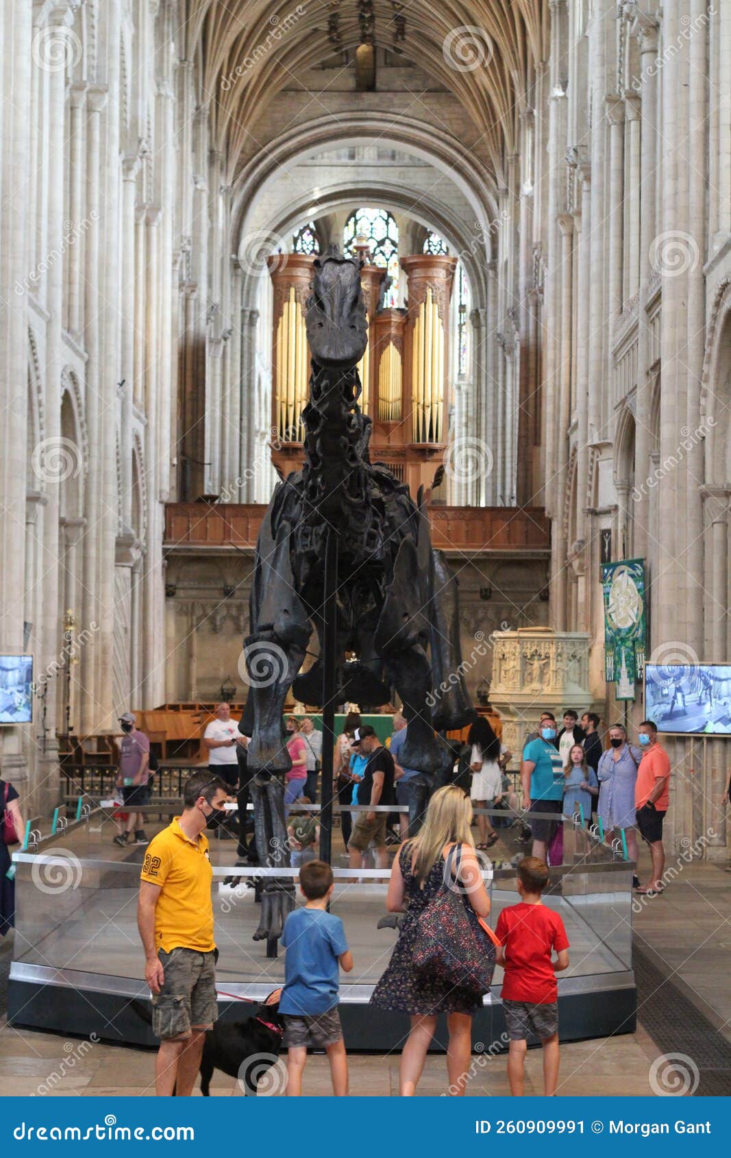 Dippy the dinosaur editorial photo. Image of dinosaur - 260909991