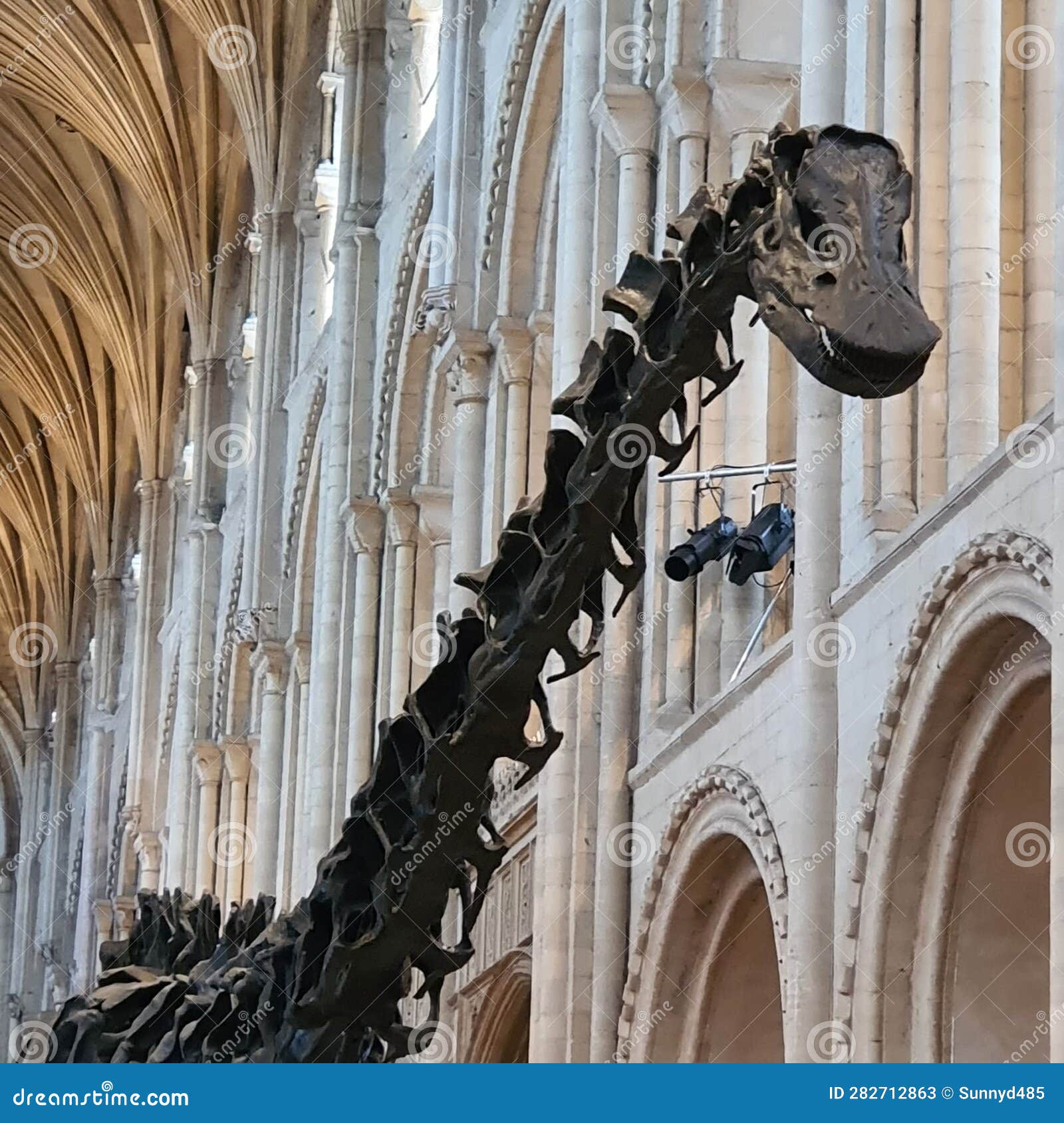 Dippy the Dinosaur on Tour Inside Norwich City Cathedral Editorial ...