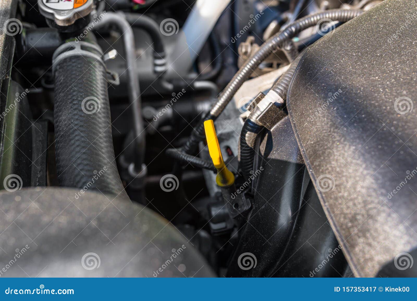 Dipstick for Checking the Oil Level in a Car Engine in Yellow. Stock ...