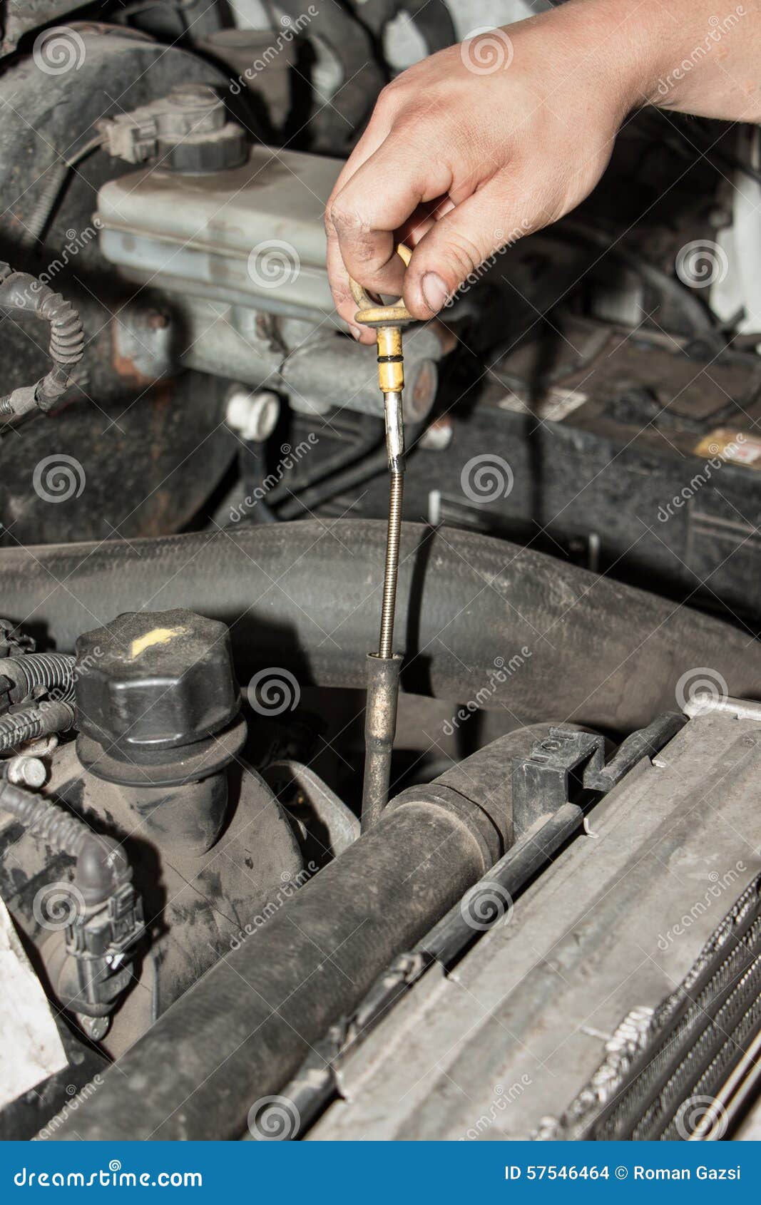 Dipstick stock photo. Image of engine, pouring, workshop - 57546464
