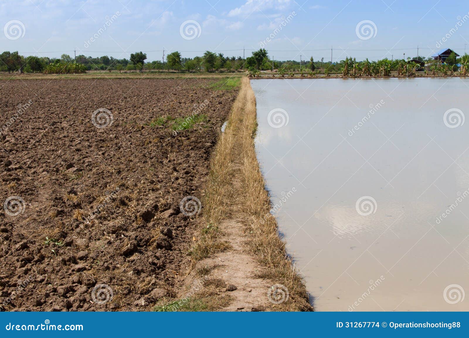 Dique de tierra foto de archivo. Imagen de campo, verde - 31267774