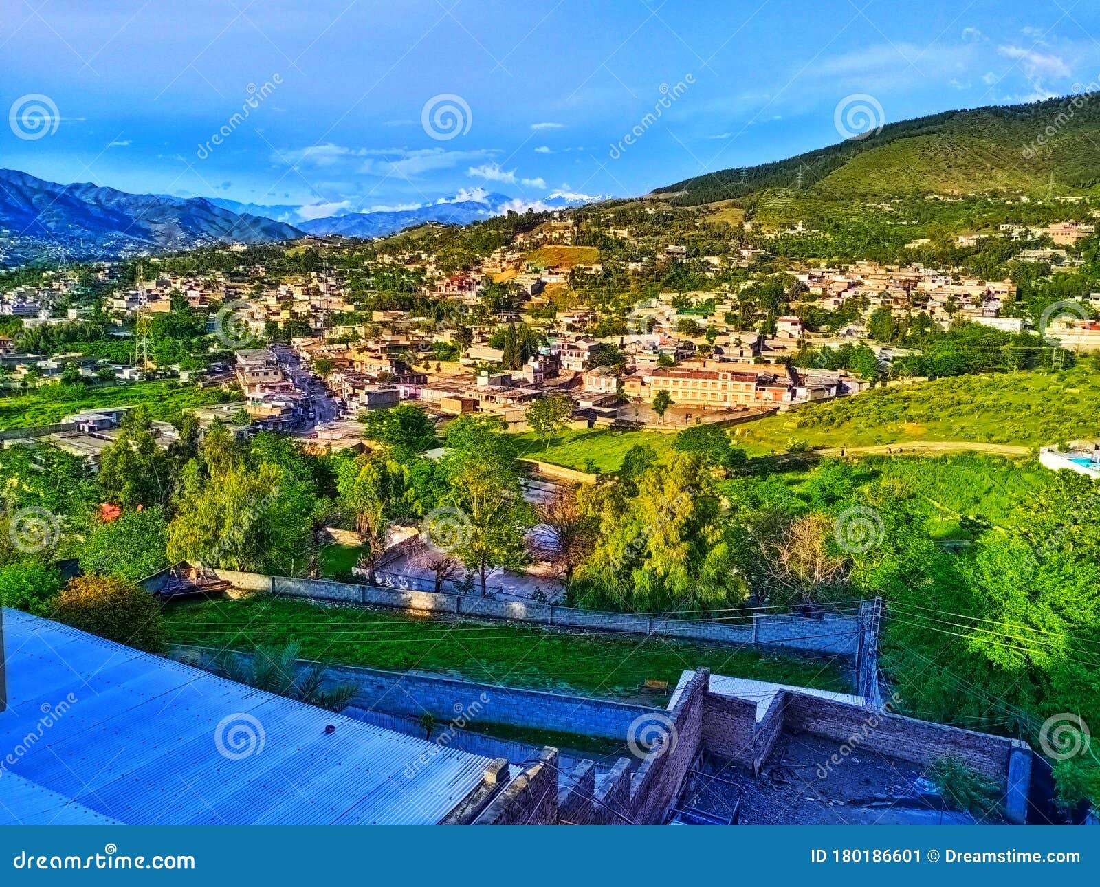 Dir lower stock image. Image of nature, greenry, lower - 180186601