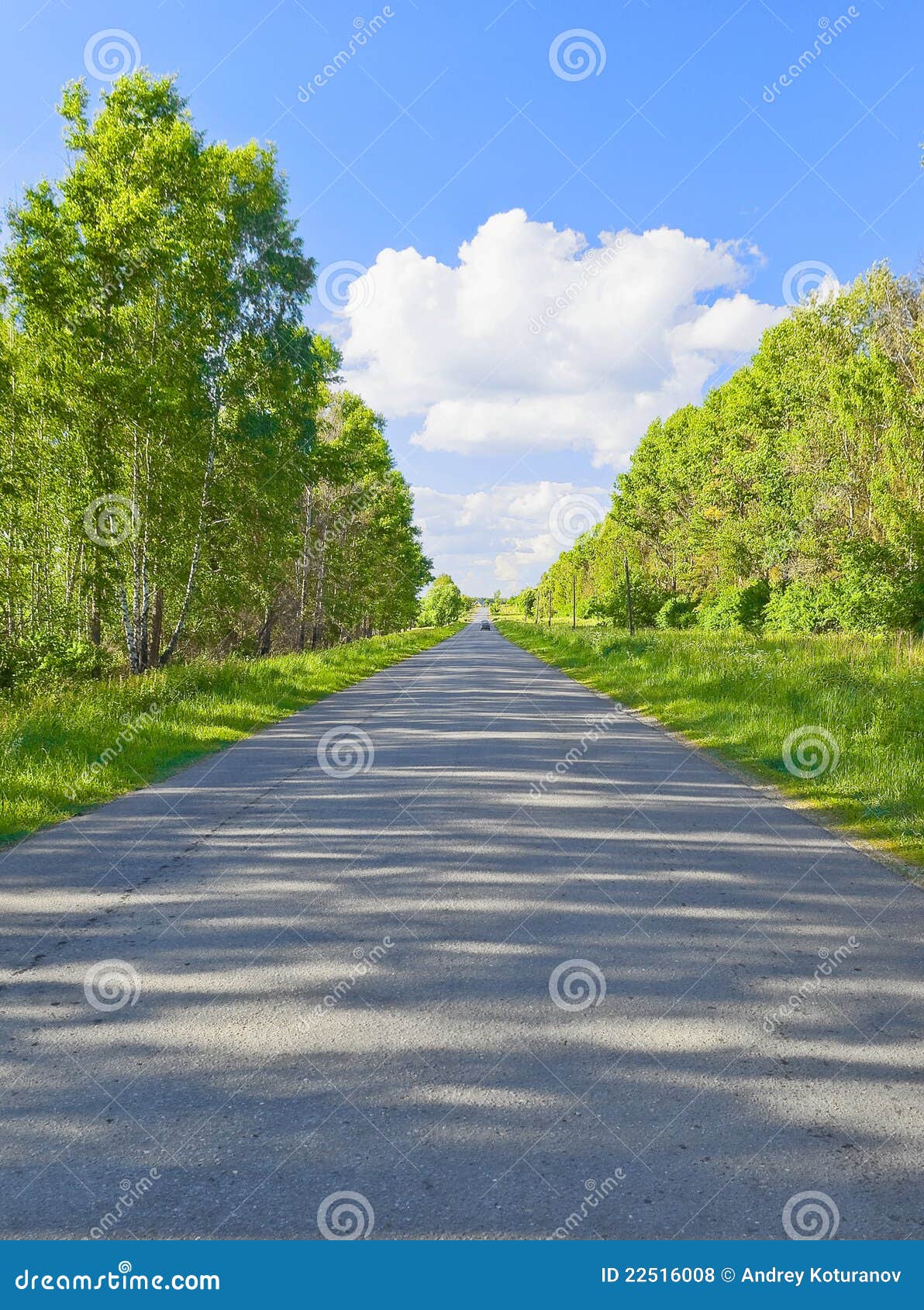 Direct road stock photo. Image of alley, path, foliage - 22516008