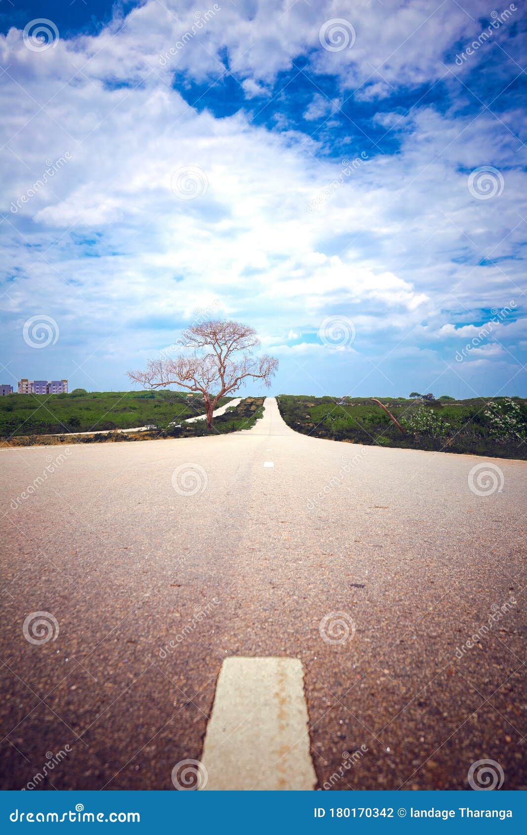 Direct road with sky stock photo. Image of road, direct - 180170342
