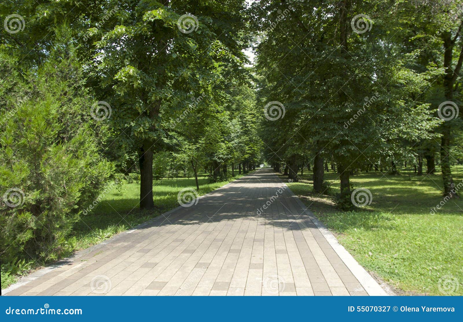 Direct road stock image. Image of sunlight, line, scenics - 55070327