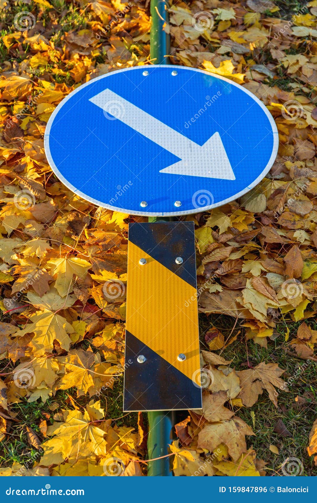 Direction Arrow Sign Down stock photo. Image of autumn - 159847896