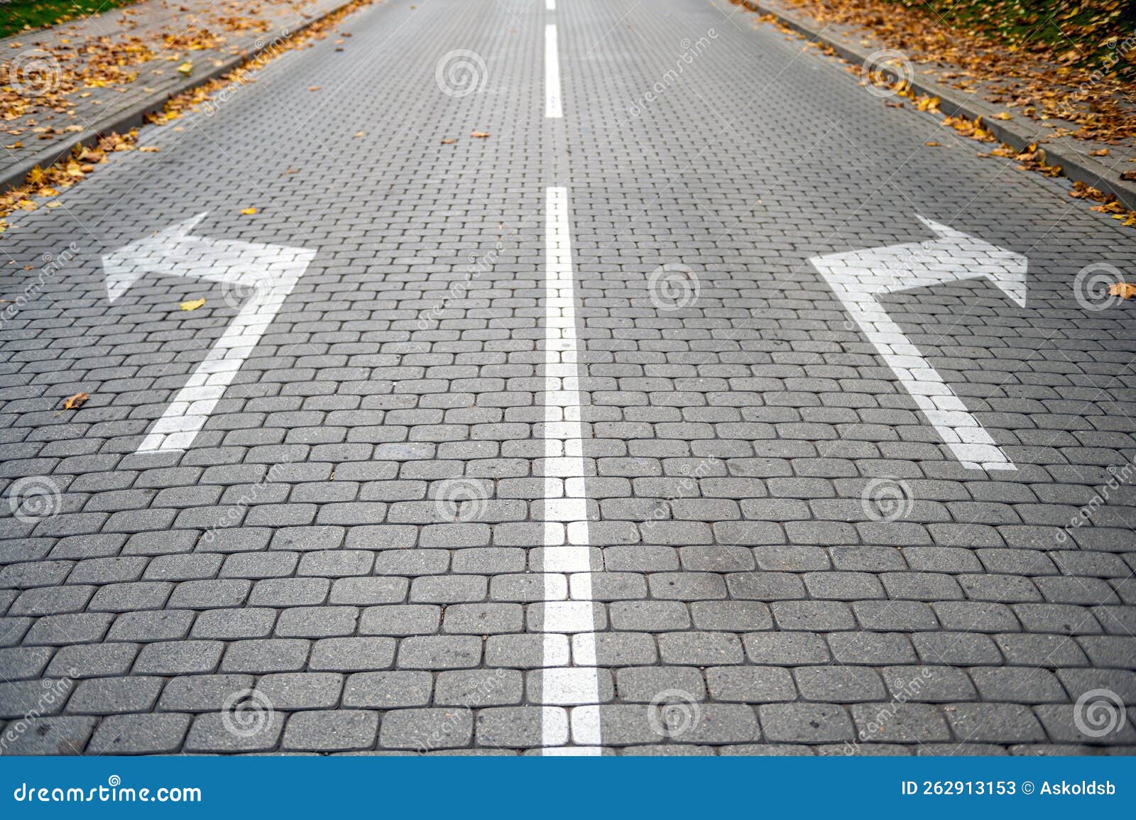 Direction Arrows on Paved Road at Intersection, Choice Concept Stock ...