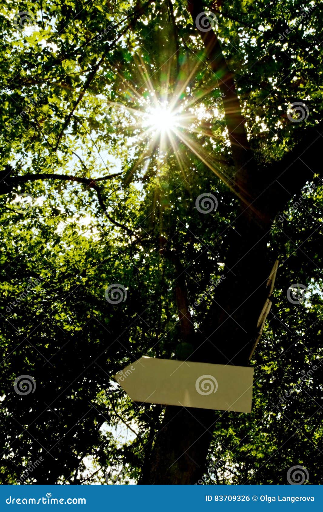 Direction indicator stock photo. Image of woods, locations - 83709326
