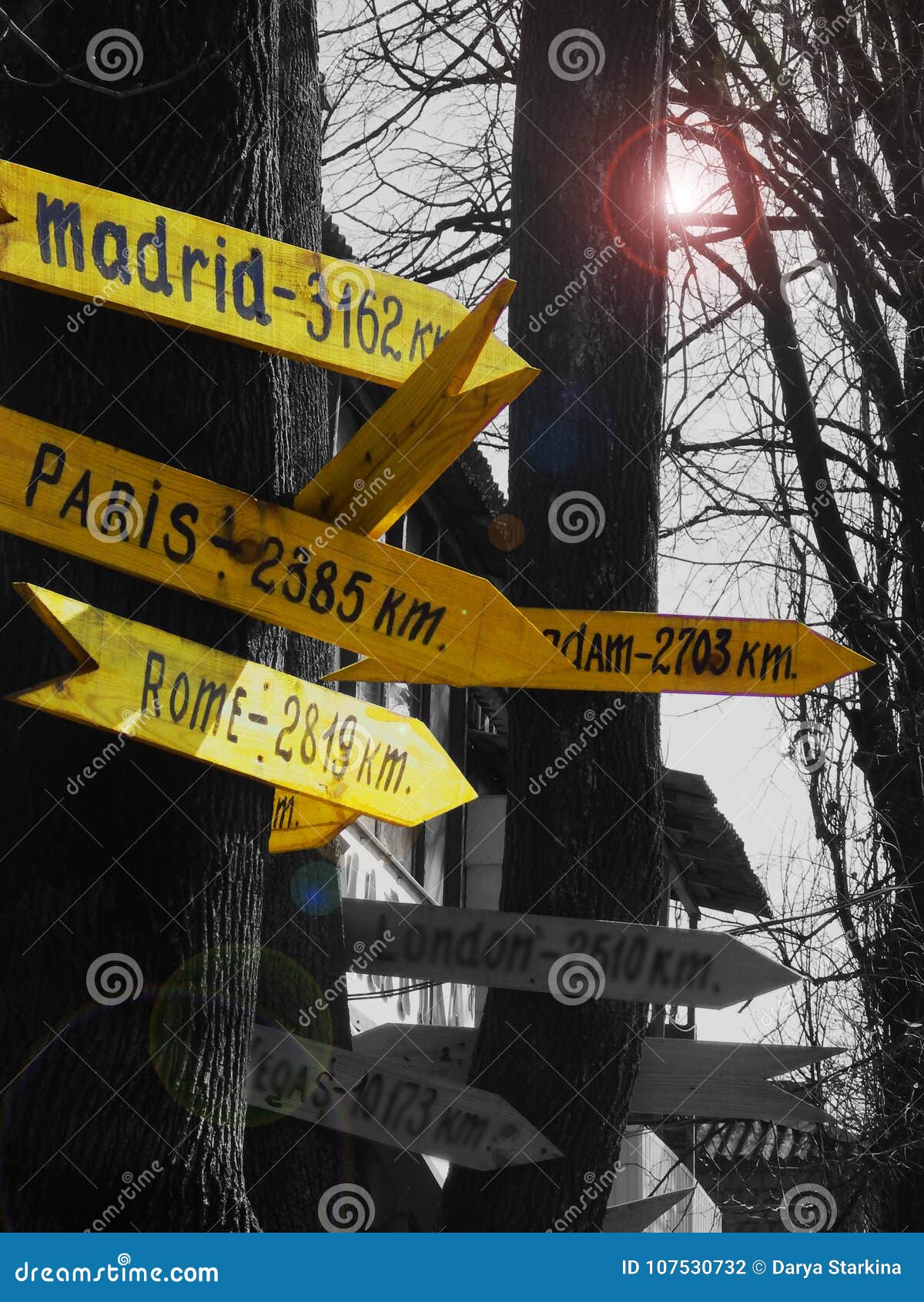 Direction Indicators on the Tree Stock Photo - Image of close, cities ...