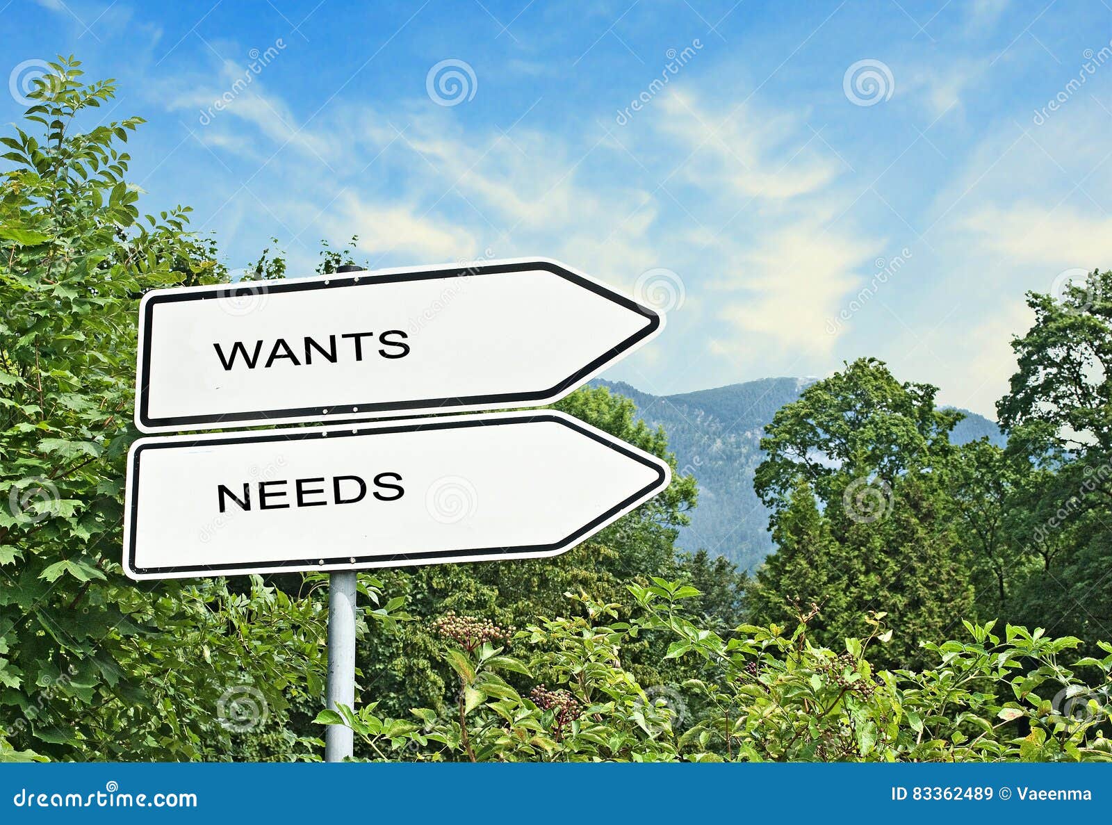 Direction Road Signs To Wants and Needs Stock Image - Image of roadsign ...