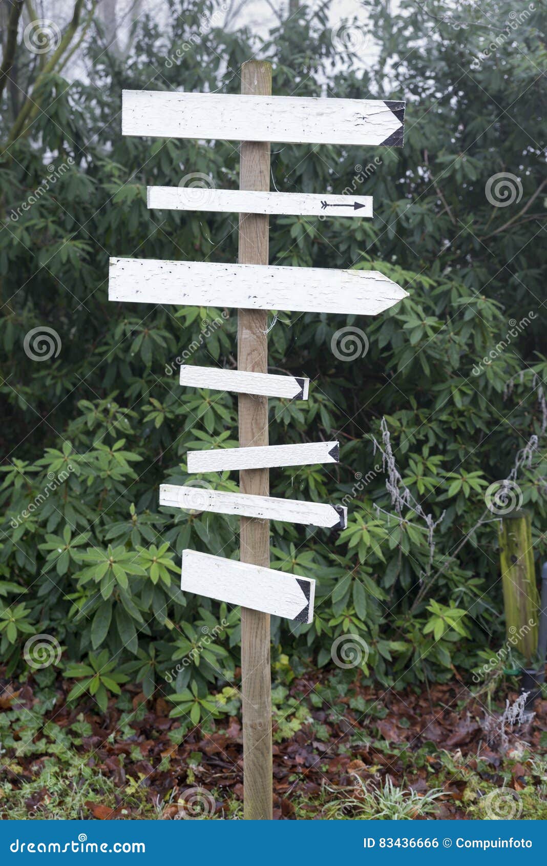 Direction Shield in the Forest Stock Photo - Image of orientation ...
