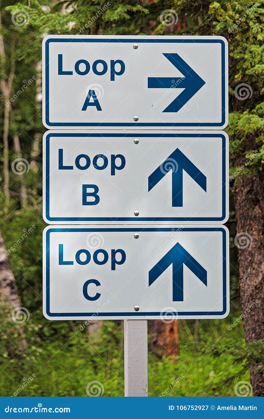 A Direction Sign Indicating Different Loops at a Campground Stock Image ...