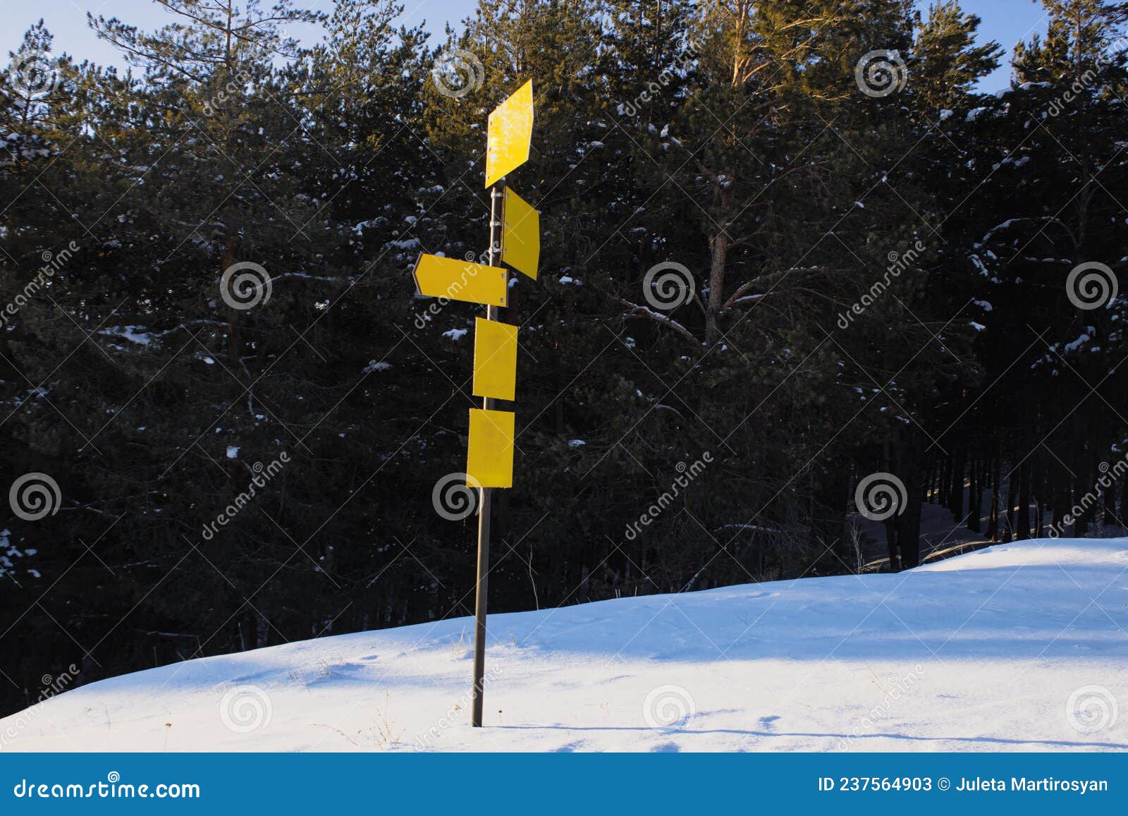 Direction Signs in a Pine Forest in Winter Stock Image - Image of ...