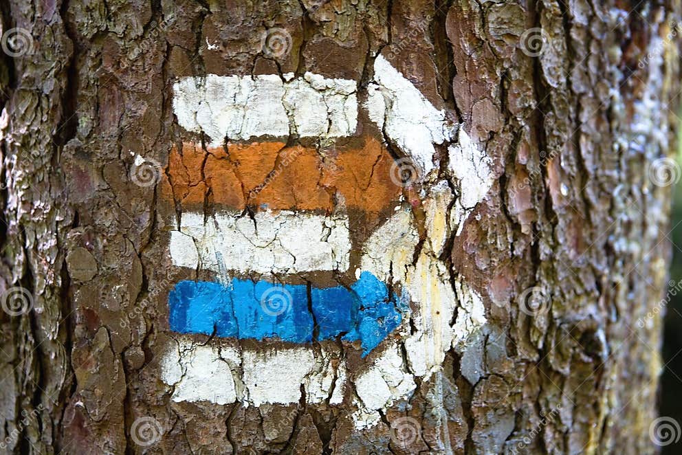 Direction Signs Route Drawn on the Tree Stock Photo - Image of ...