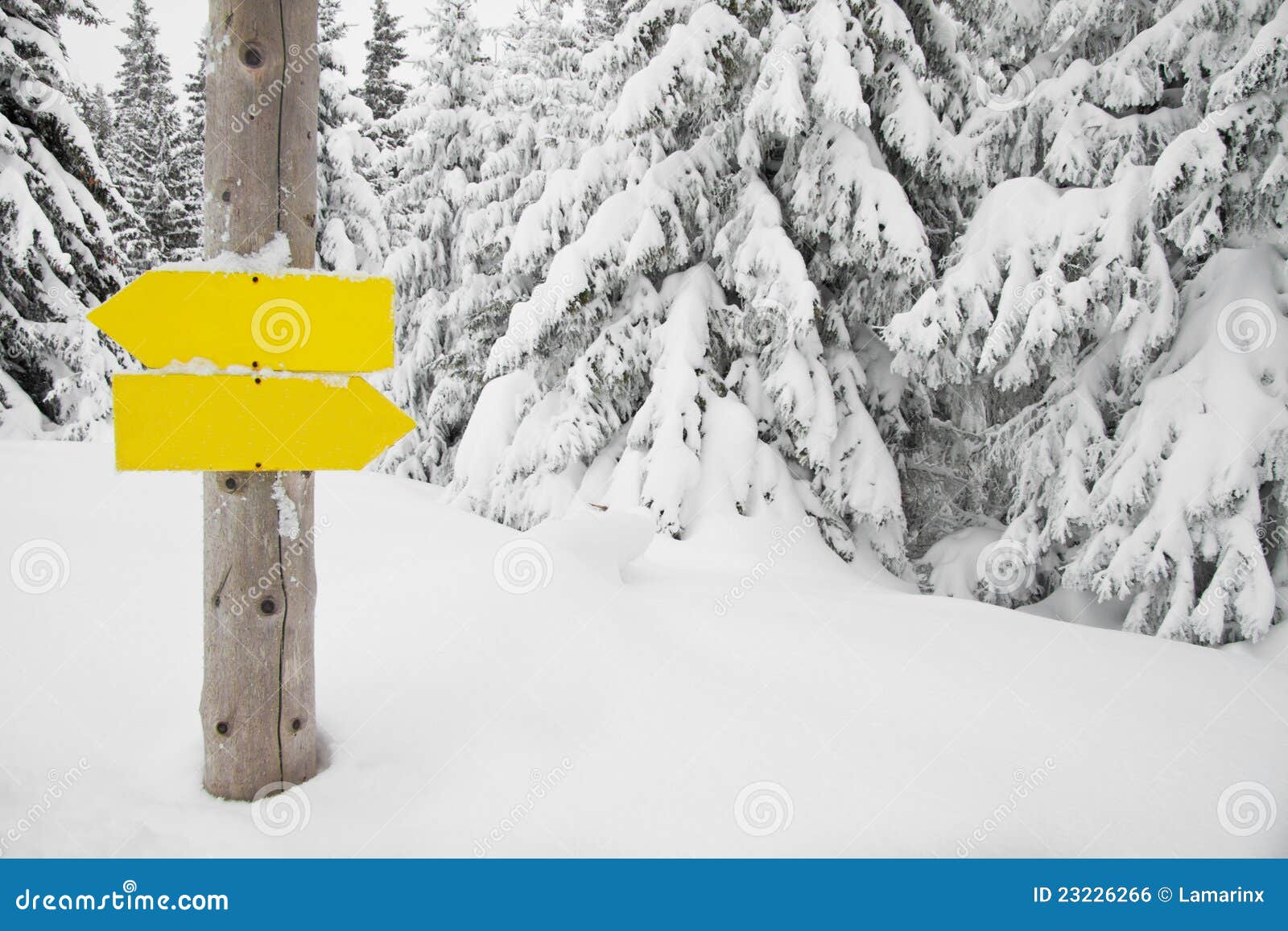 Direction Signs in a Snowy Forest Stock Photo - Image of board, nature ...