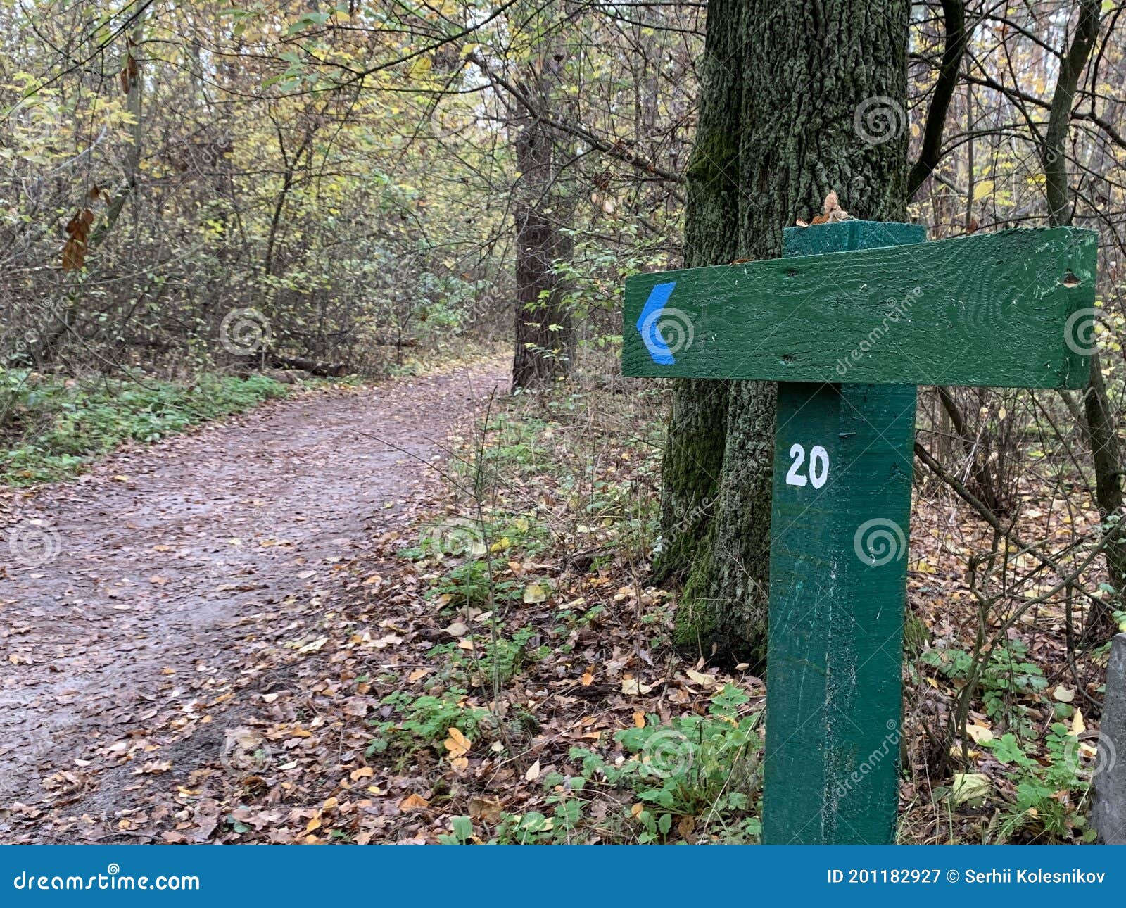 Directional Sign on a Forest Trail. Pointer at the Crossroads. Concept ...