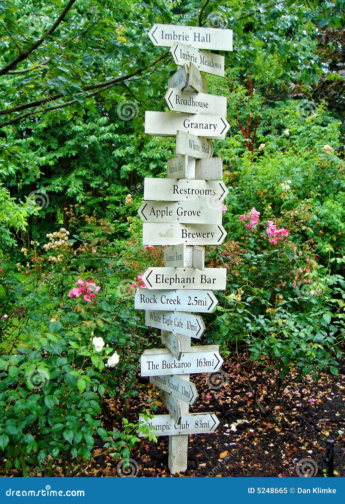 Directional Sign in a Green Forest Stock Image - Image of bush, signs ...