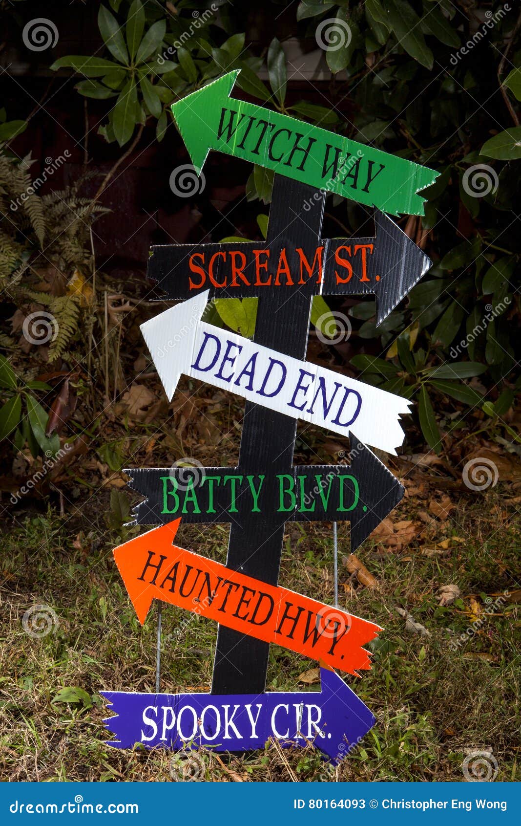 Directional Sign stock image. Image of seasonal, lawn - 80164093