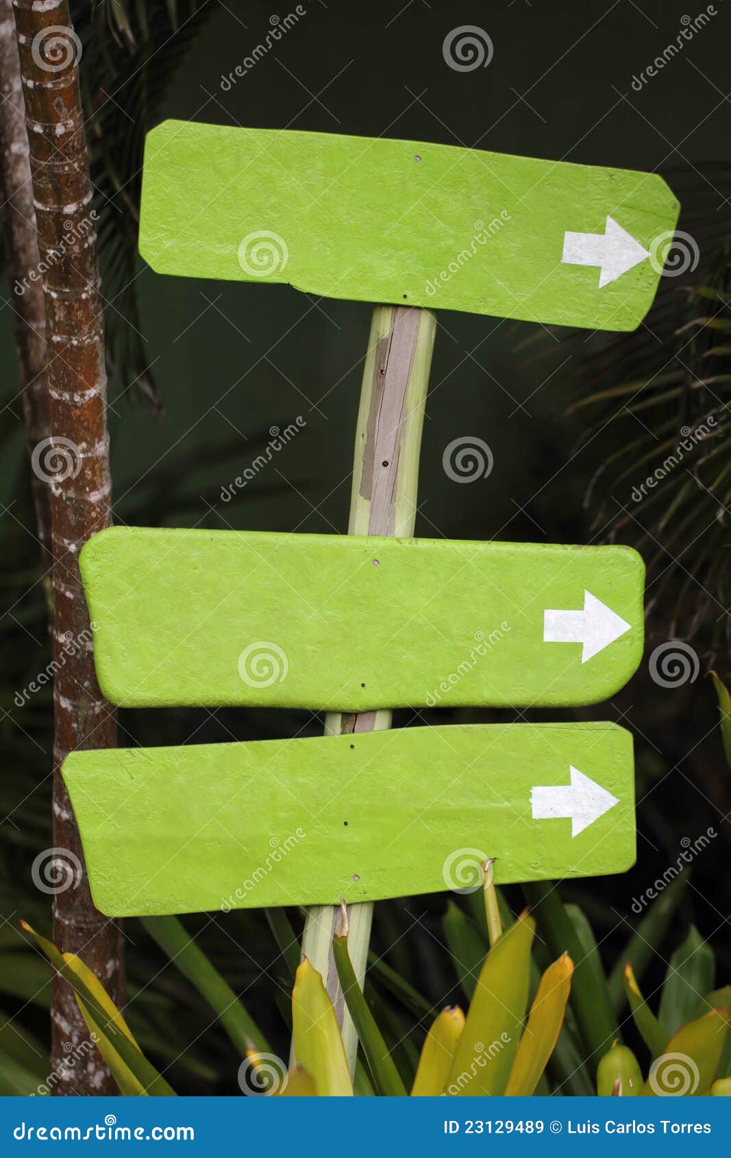 Directions in woods stock image. Image of indicating - 23129489