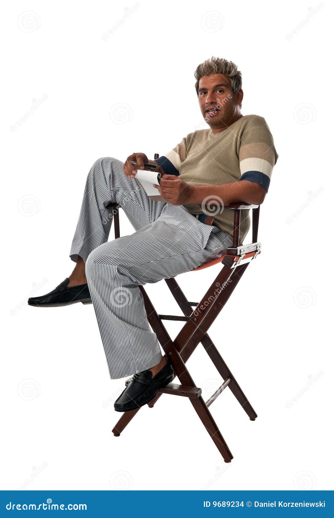 The director stock photo. Image of modern, consultant - 9689234