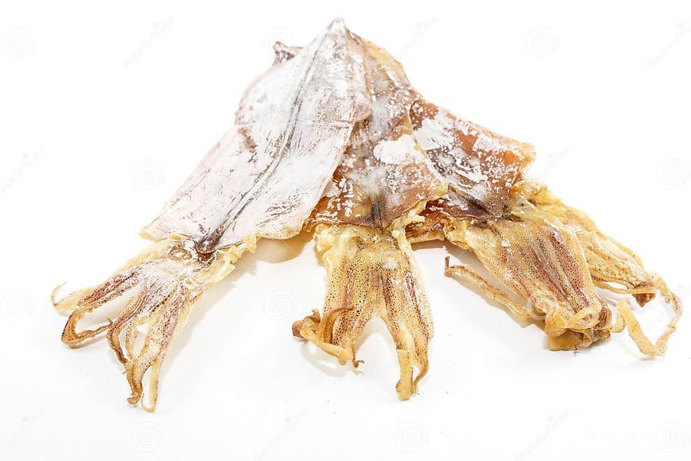 Dired squid stock image. Image of tasty, fresh, fish - 28963347