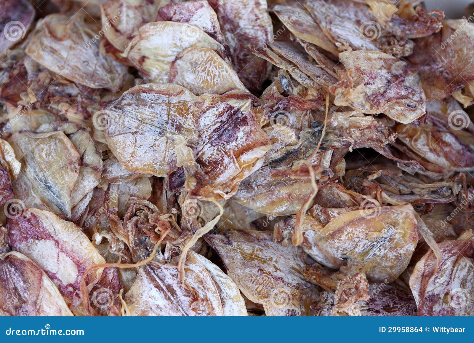 Dired Squid for Cooking in Market Stock Photo - Image of food, fresh ...