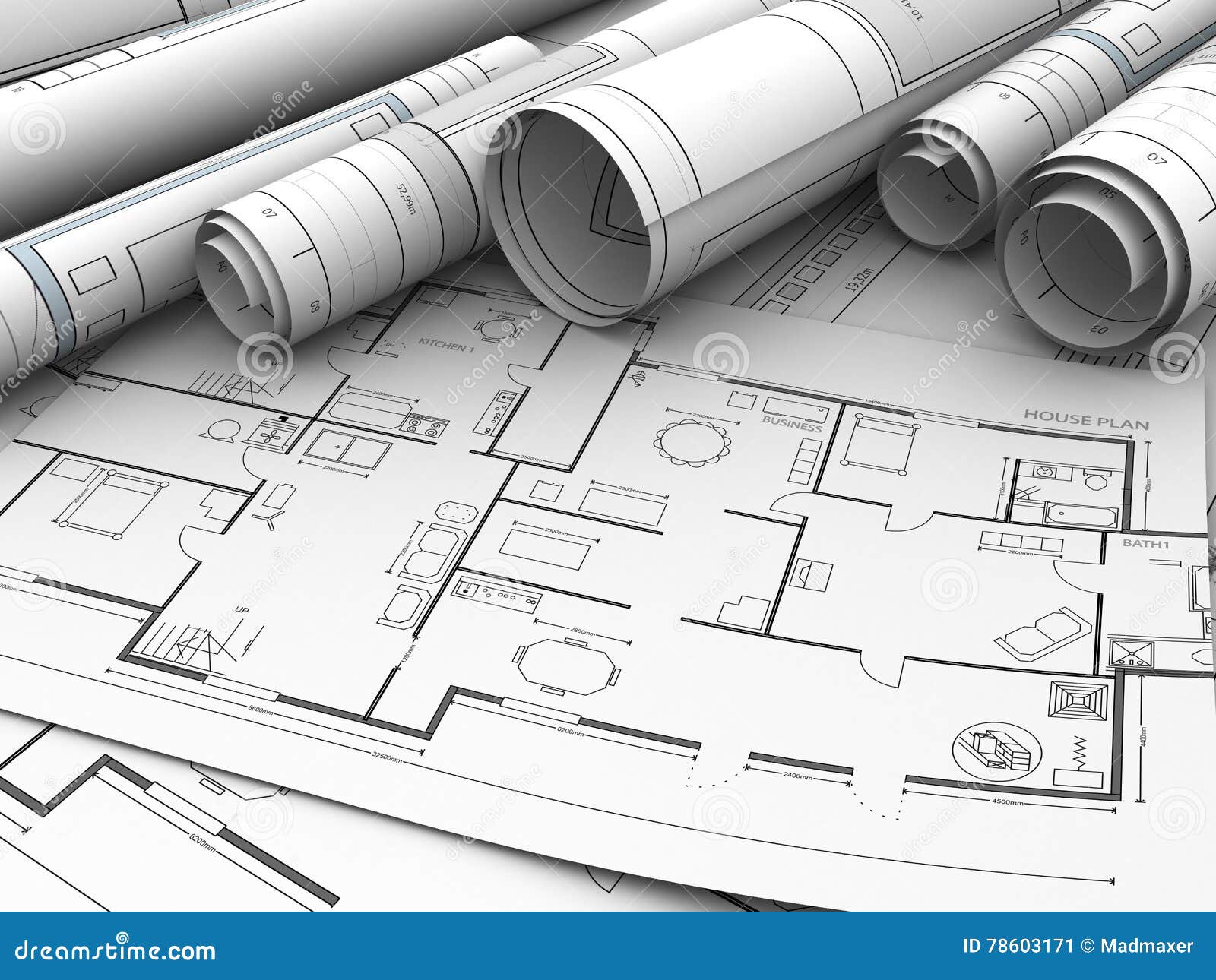 Dirija a planta ilustração stock. Ilustração de projeto - 78603171